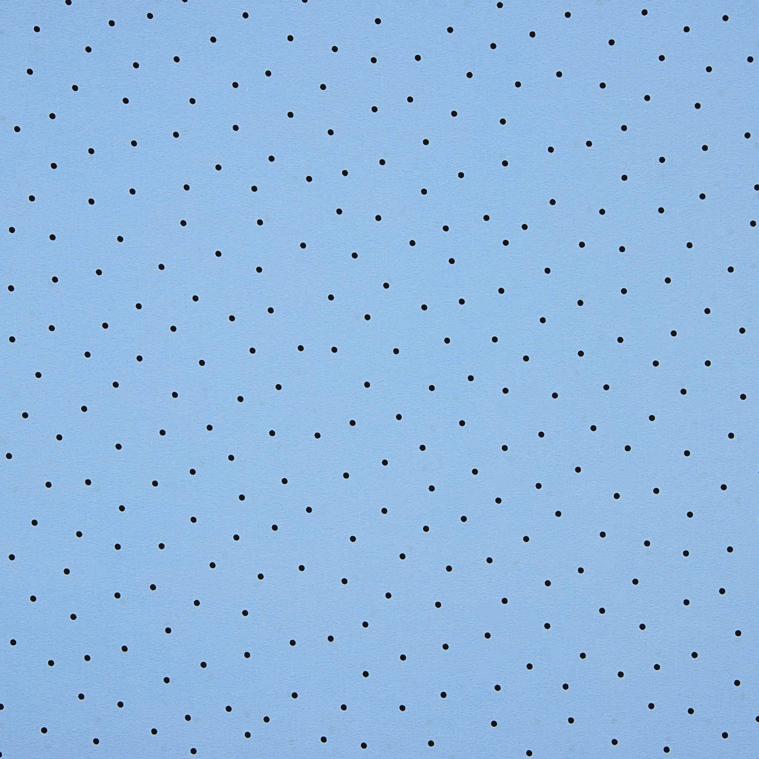 Koshibo Lunares Aguja Azul Claro-Negro – Ribes & Casals