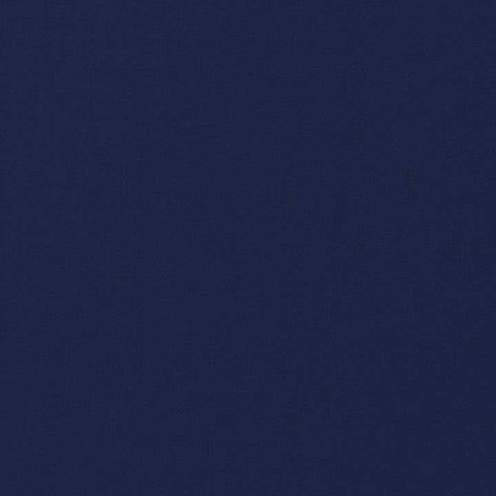 Tela de Gasa de Poliéster Azul Victoria – Ribes & Casals